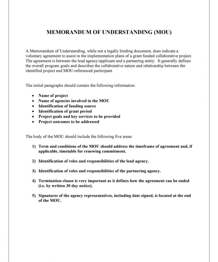 Memorandum Of Instruction Template