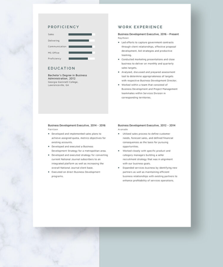 Business Development Executive Resume Template