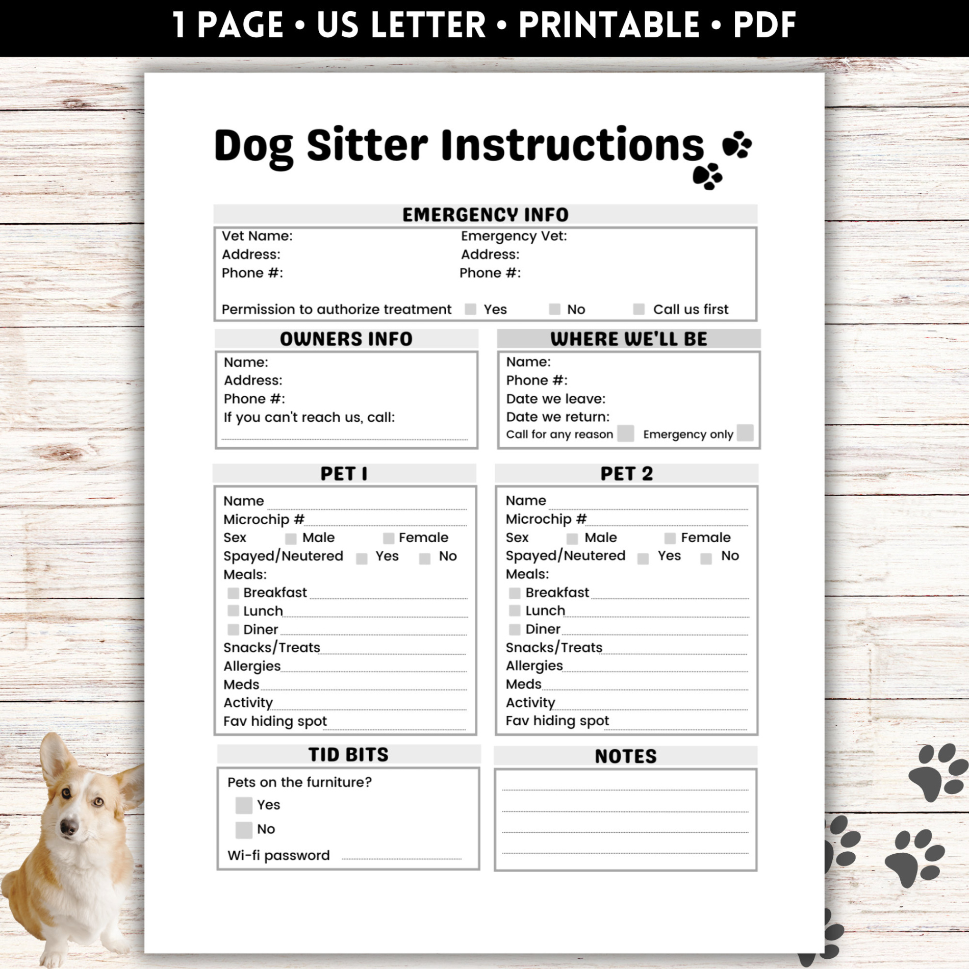 Pet Sitter Instruction Template